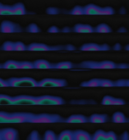 AutoTune: The Best Pitch Correction & Vocal Chain Plugins